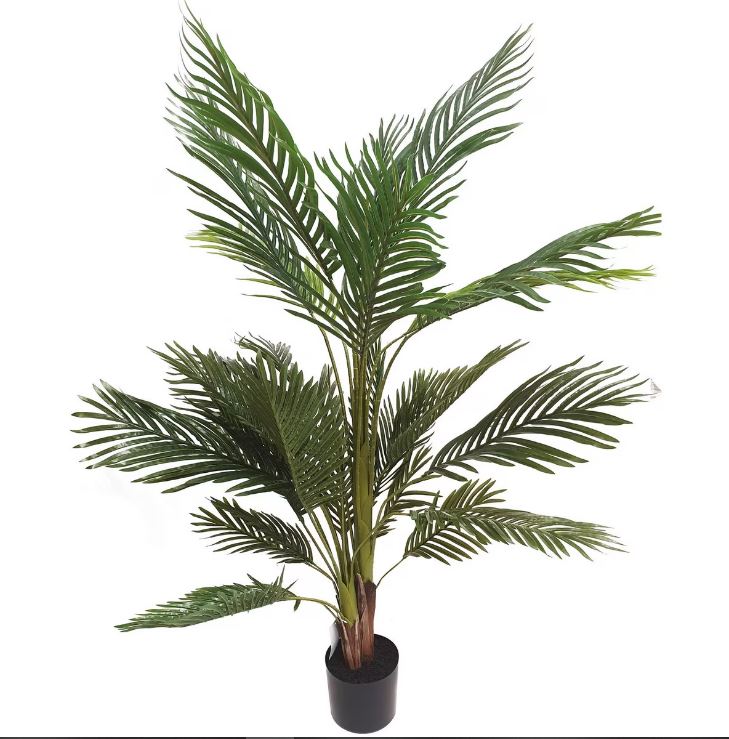 Rembrandt Palm Tree – Shed Boutique Style